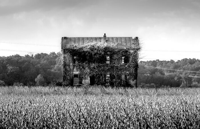 Will plants take over the world? - Digital Noir